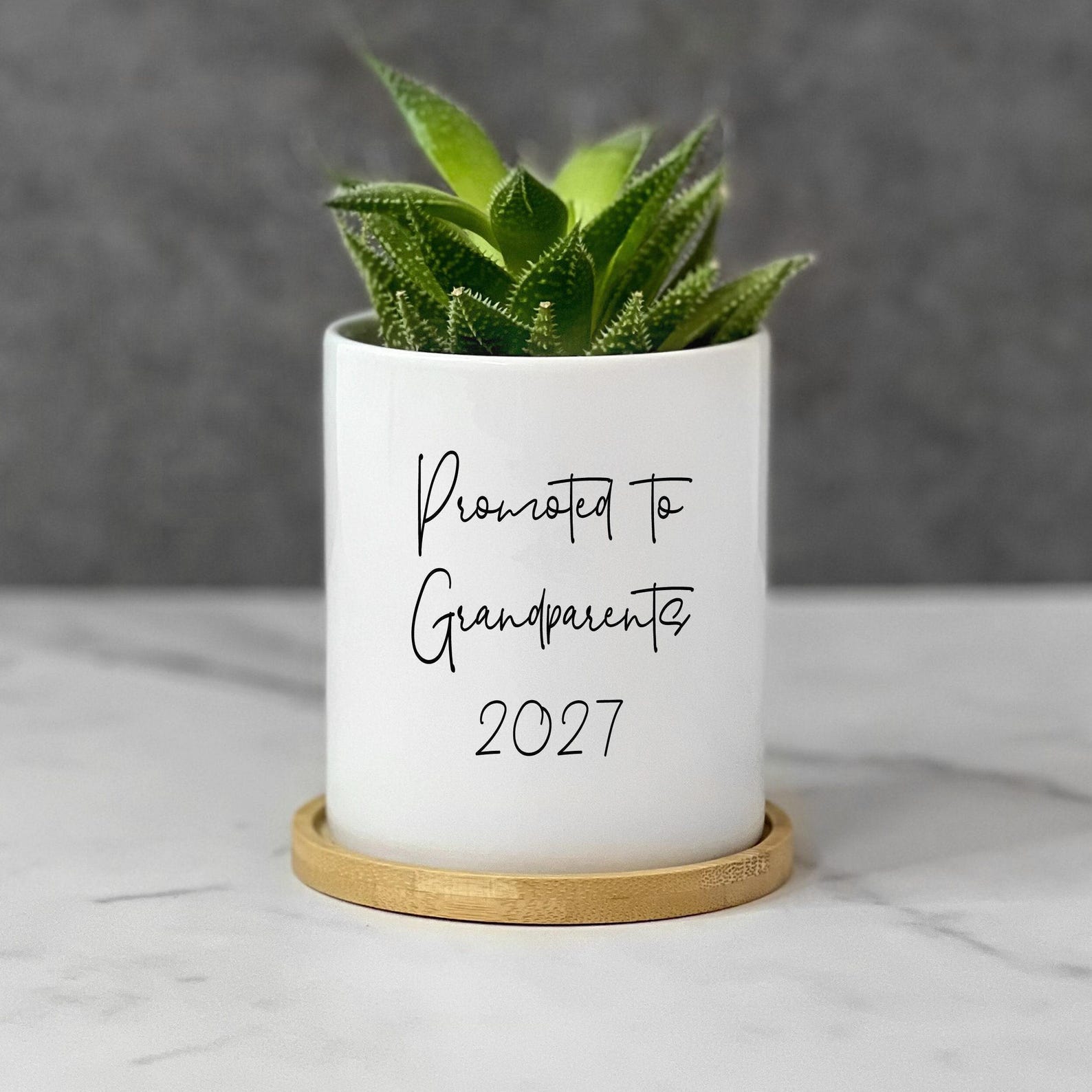 Promoted to Grandparents Planter New Grandparents Gift Pregnancy ...