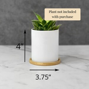 Succulent Planter Funny Gift for Plant Lovers Garden Decor for Women ...