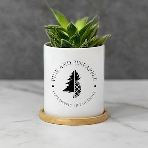 Custom Printed Logo Plant Pot With Full Color, Company Logo Gifts ...