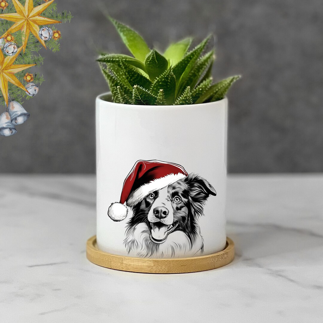 Border Collie Christmas Plant Pot Border Collie Home Decor - Etsy
