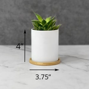 Custom Plant Pot Personalized Planter Succulent Planter - Etsy