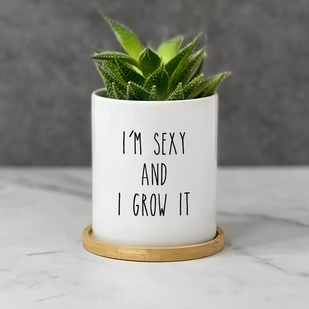 Funny Plant Pot, Succulent Flower Pot, Funny Planter With Drainage ...