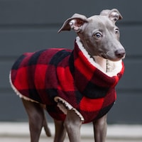 Waterproof Winter Coat for Whippets, Sighthounds and Other Dogs - Etsy