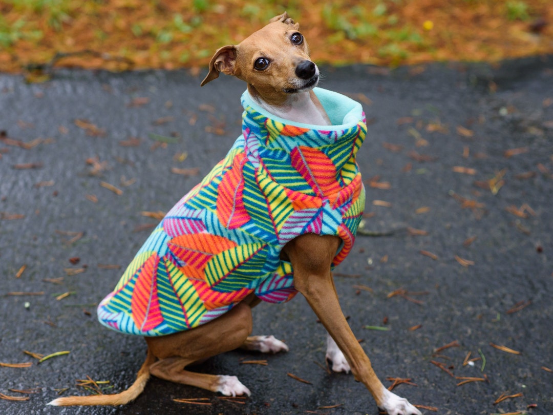 Italian Greyhound Fleece Dog Coat: Tropical Leaves Double Layer - Etsy