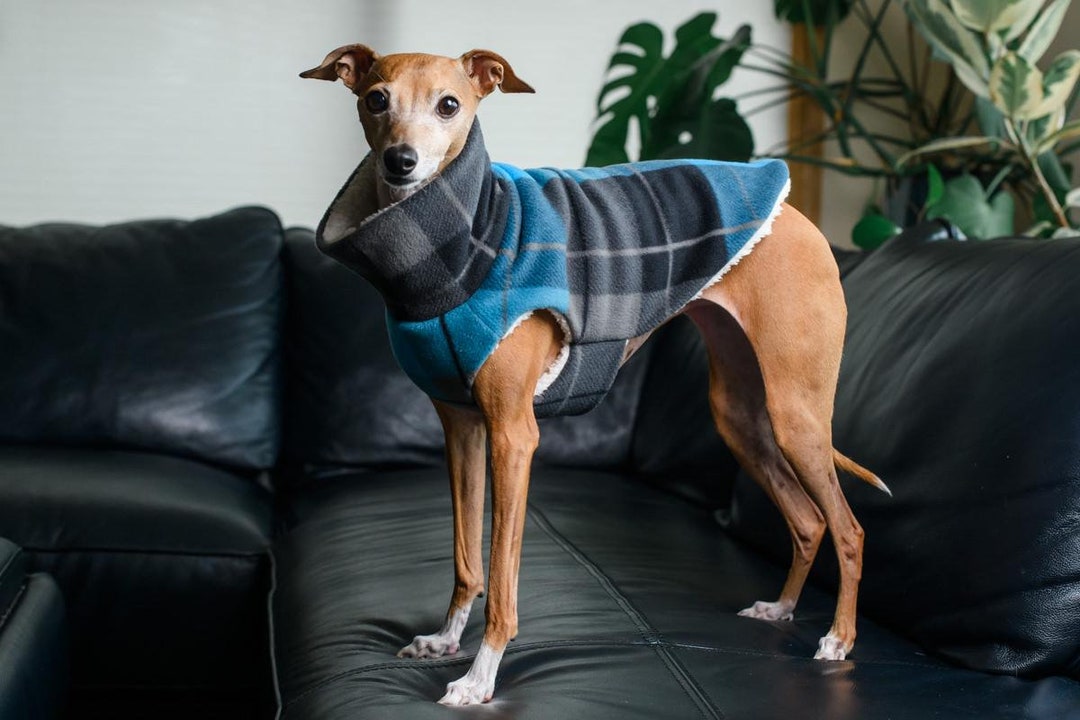 Sherpa Lined Italian Greyhound Coat: Blue Grey Plaid Fleece - Etsy
