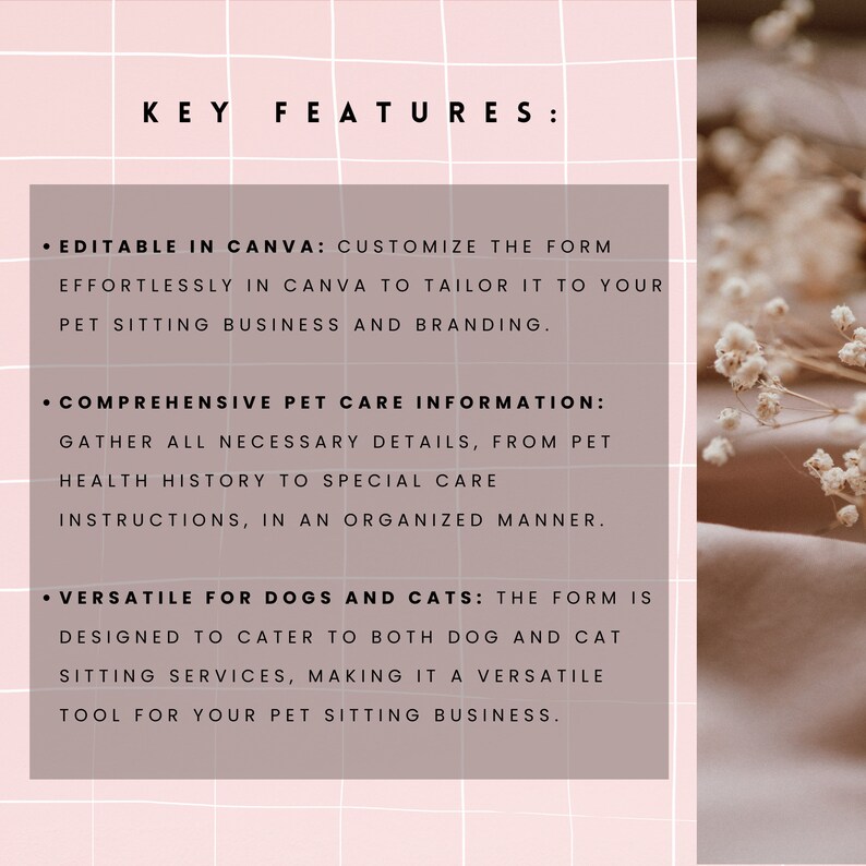 Pet Sitter Client Intake Form, Editable Pet Sitting Service Form, Dog ...