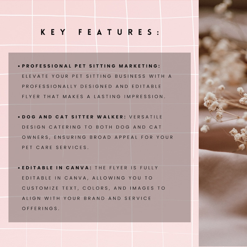 Pet Sitter Flyer, Editable Pet Walker Flayer, Dog Sitter Walker, Cat ...