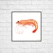 Shrimp, Printable, Home Décor, Wall Art, Watercolour Print, Animal ...