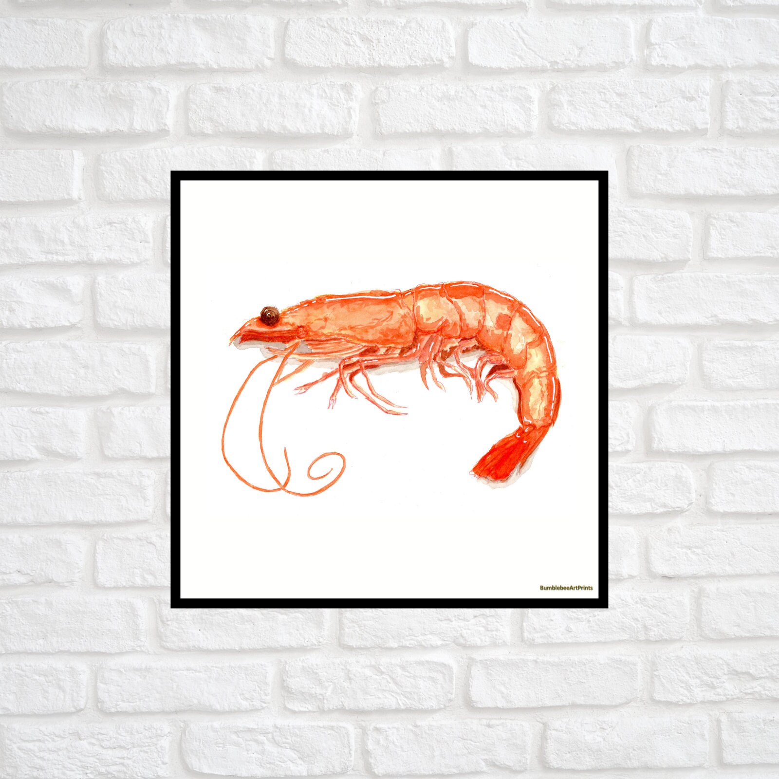 Shrimp, Printable, Home Décor, Wall Art, Watercolour Print, Animal ...