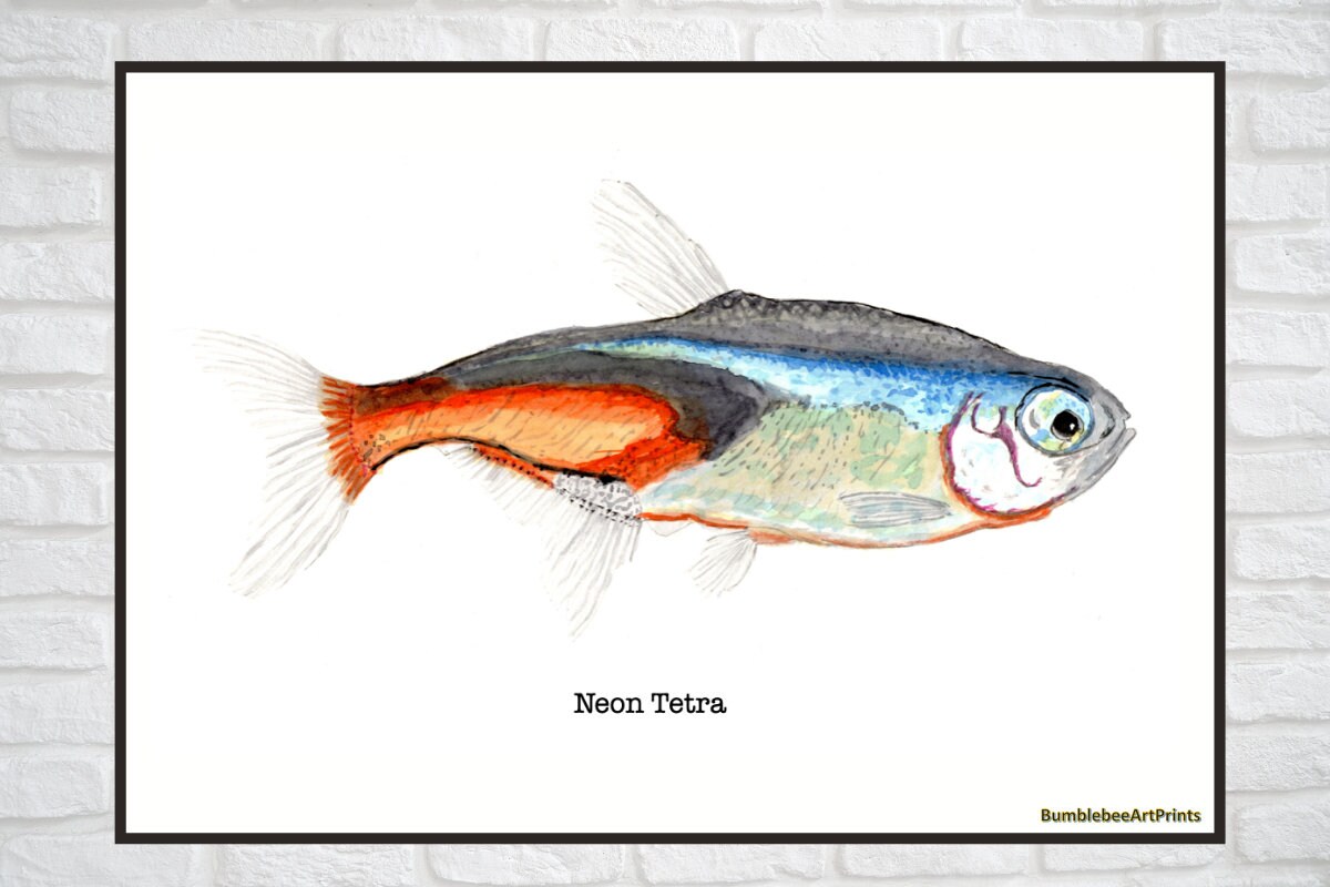 Neon Tetra, Aquarium Fish Printable, Home Décor, Wall Art, Watercolour ...