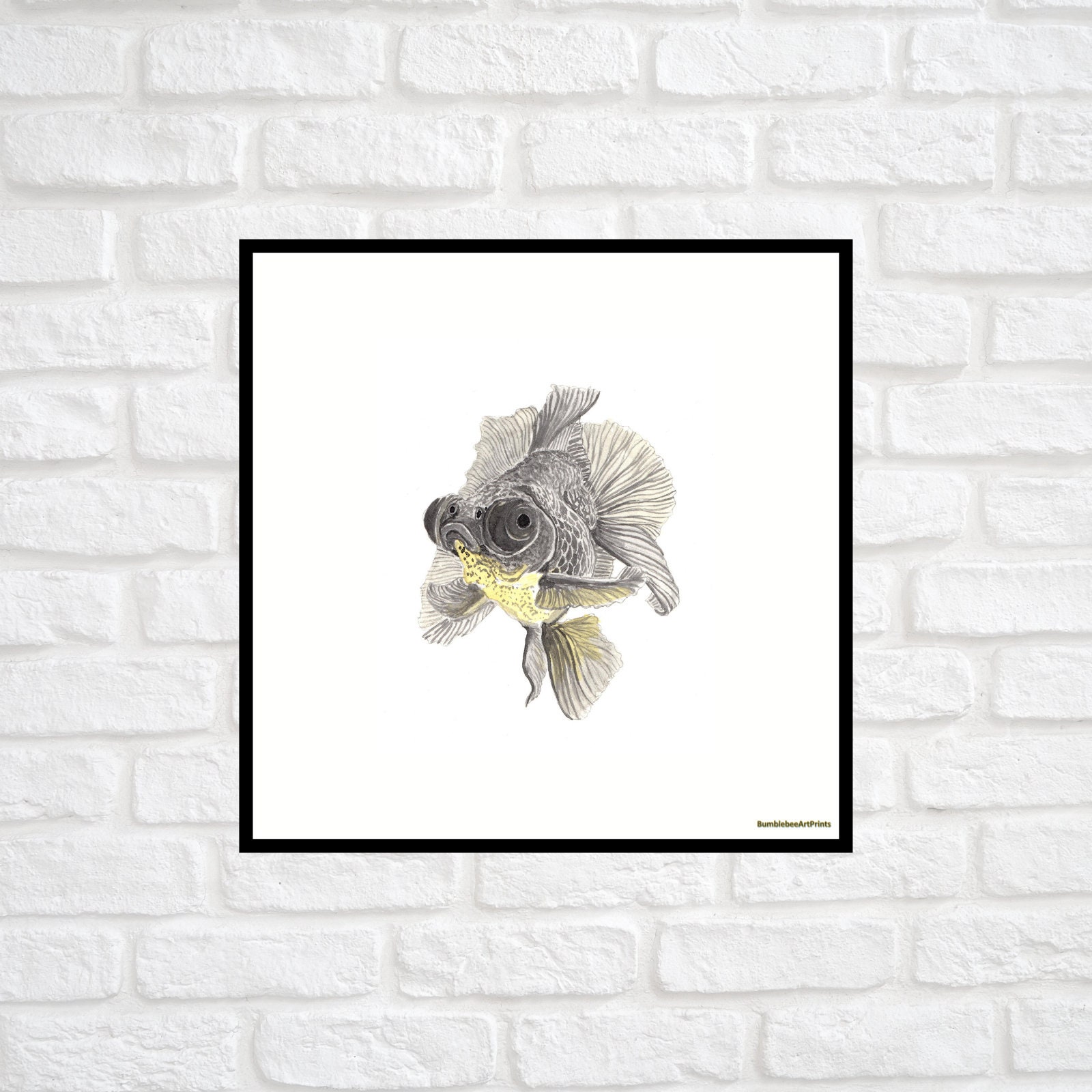 Black Moor Goldfish Drawing