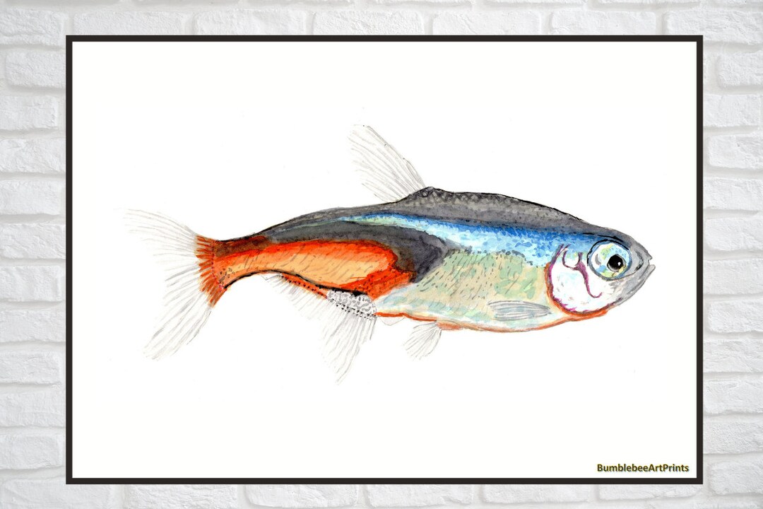 Neon Tetra, Aquarium Fish Printable, Home Décor, Wall Art, Watercolour ...