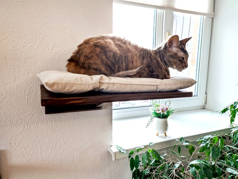 Cat Window Perch, Cat Shelves, Cat Wall Furniture Natural Wood, Cat Bed ...