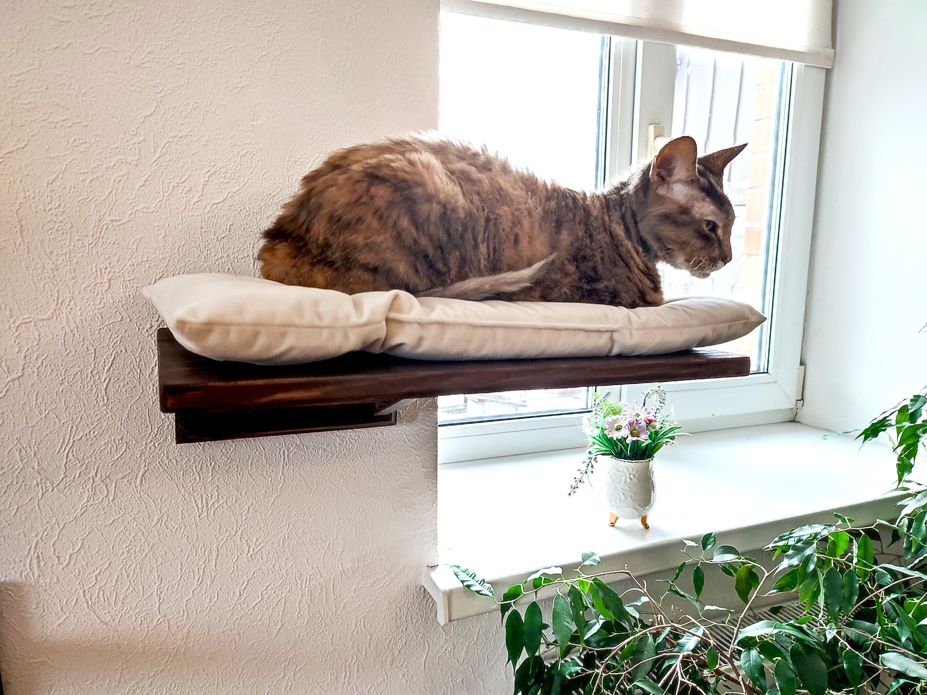 Cat Window Perch, Cat Shelves, Cat Wall Furniture Natural Wood, Cat Bed ...