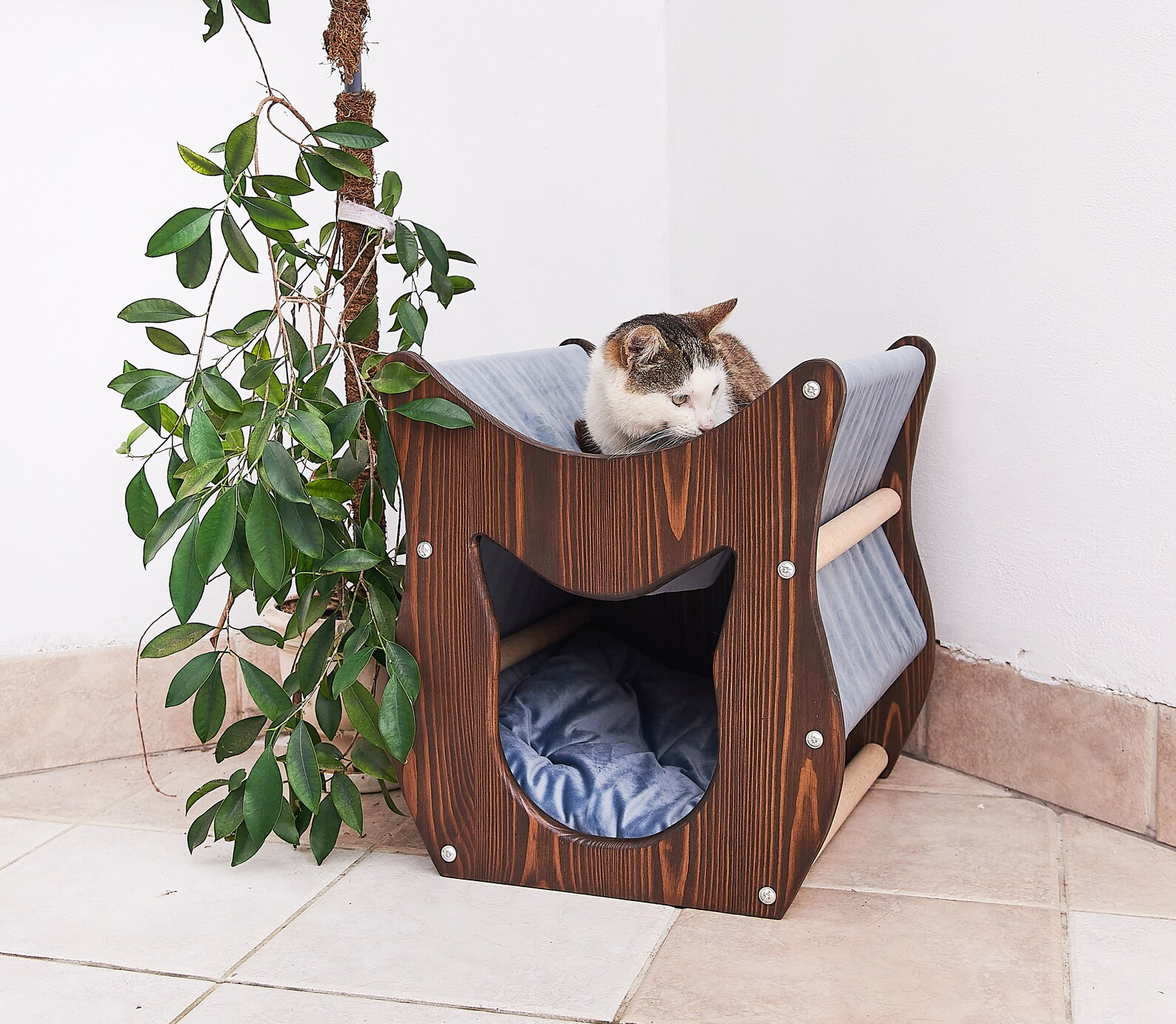 Cat Cave Cat Hammock Bed Cat House Modern Cat Bed Cat Bed - Etsy