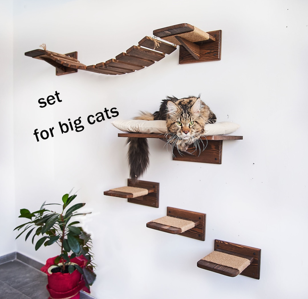 Large Cat Shelves, Cat Furniture for Big Cats, Cat Shelves for Wall ...