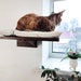 Cat Window Perch Cat Shelves Cat Wall Furniture Natural - Etsy