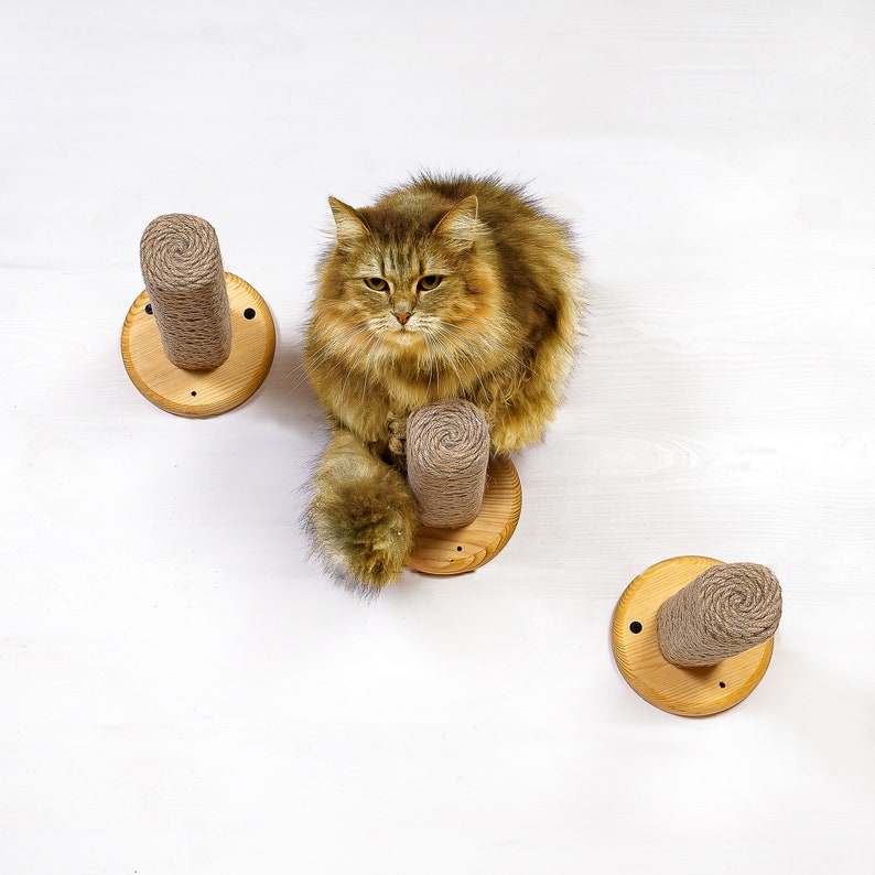 Cat Shelf, Wooden Cat Steps With Sisal Rope 5 Pc, Cat Lover Gift, Cat ...