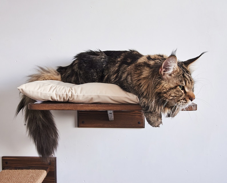 Cat Shelf for Large Cats, Big Cat Shelves, Cat Steps for Maine Coon ...