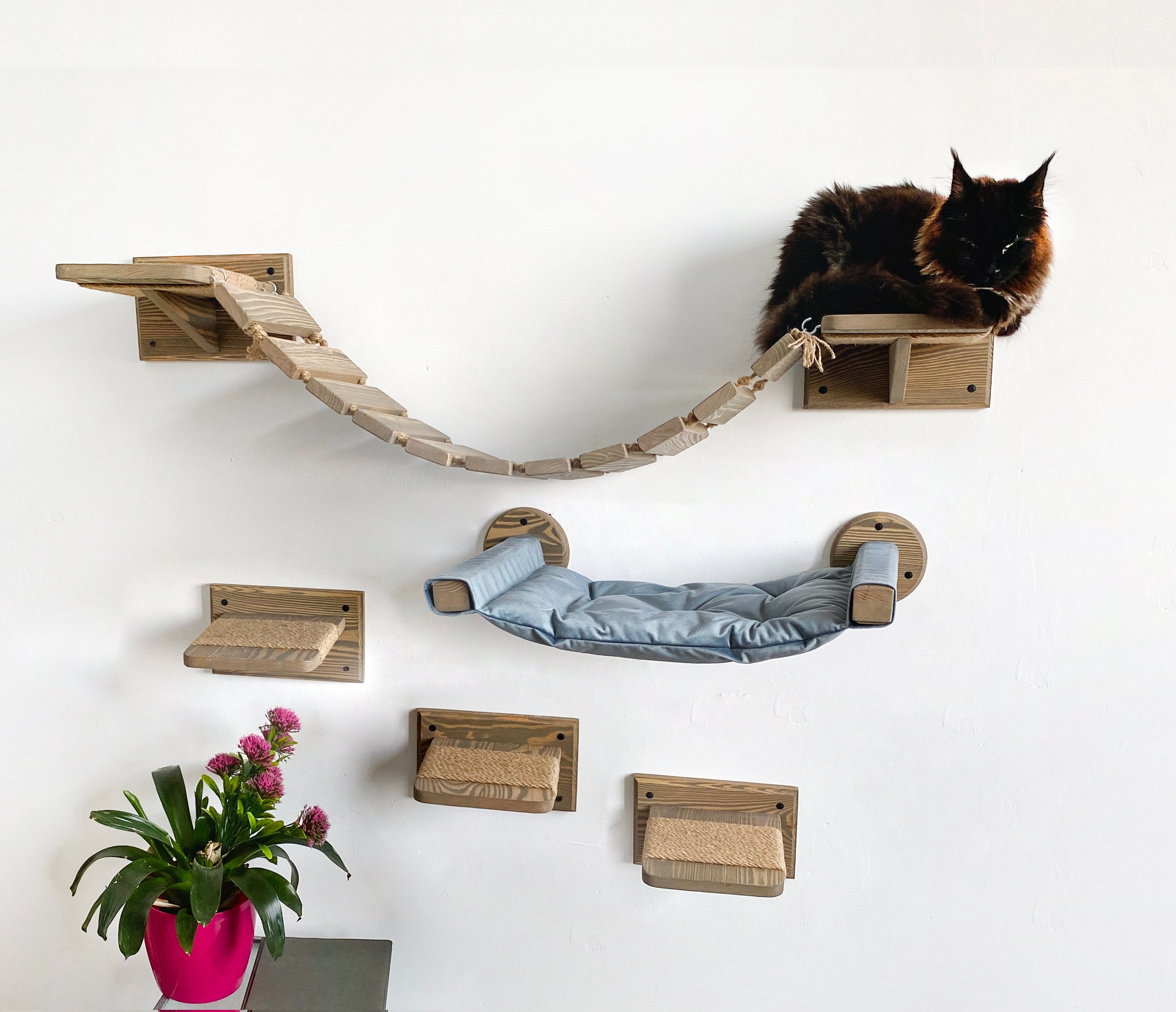 Cat Shelves for Large Cats, Big Cat Shelf, Cat Steps for Maine Coon ...