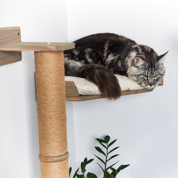 Corner Scratching Post - Etsy