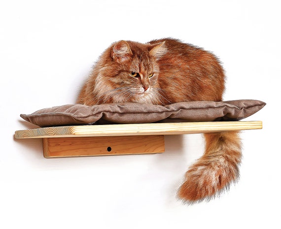 Cat Perch Wall Mount Cat Bed Cat Shelves Cat Shelf Cats - Etsy