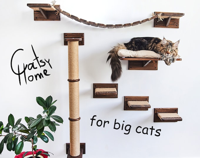 36 Cooper Catwalks Are Handmade Cat Shelves for Cats to Walk,climb,jump ...
