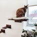 Cat Window Perch Cat Shelves Cat Wall Furniture Natural - Etsy