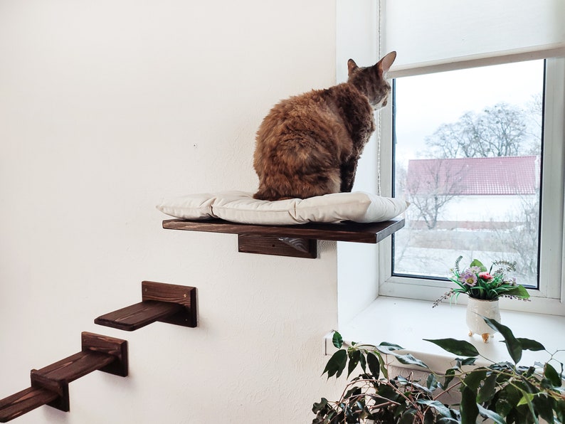 Cat Window Perch Cat Shelves Cat Wall Furniture Natural - Etsy