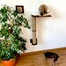 Cat Shelf, Cat Tower, Wall Shelves for Climbing Cats Made of Natural ...