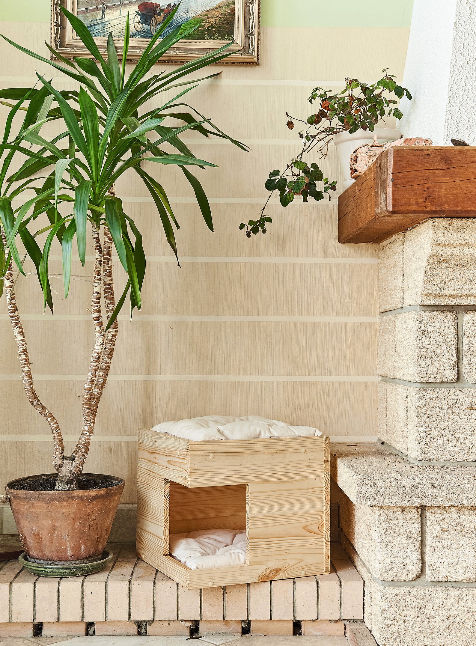 Cat House Cat Condo Cat Cave Cat Furniture Cat Bed With - Etsy