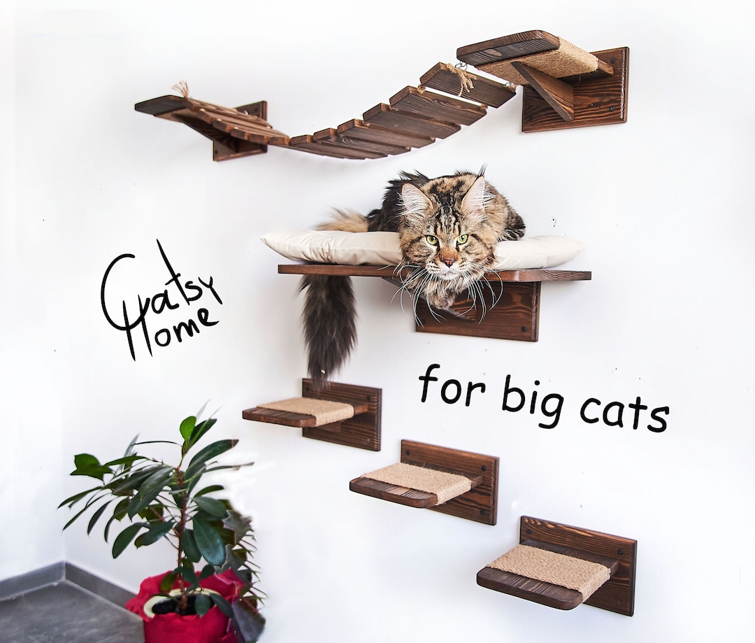 Large Cat Shelves, Cat Furniture for Big Cats, Cat Shelves for Wall ...