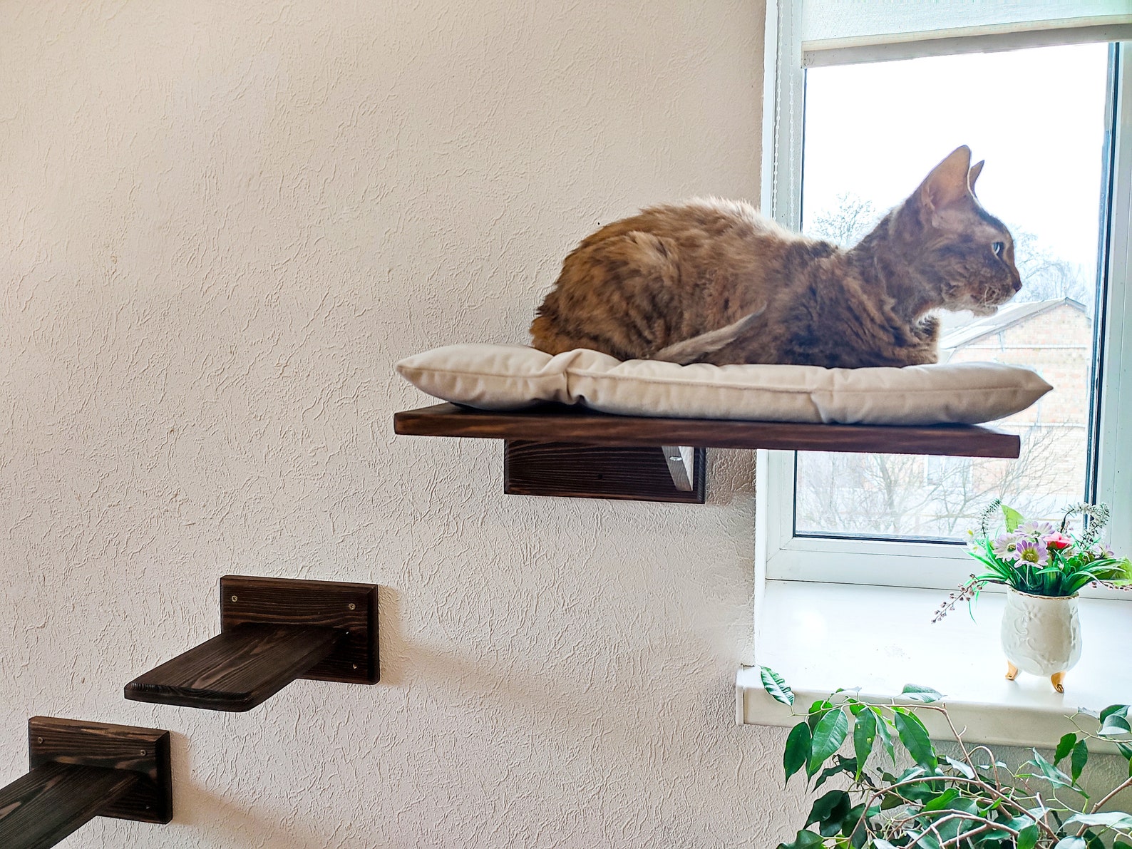 Cat Window Perch Cat Shelves Cat Wall Furniture Natural - Etsy