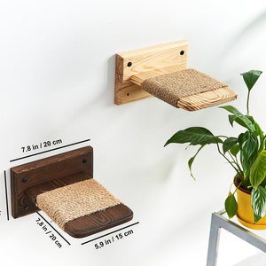 Cat Bed Corner Cat Perch Cat Wall Furniture Cat Shelves Cat - Etsy