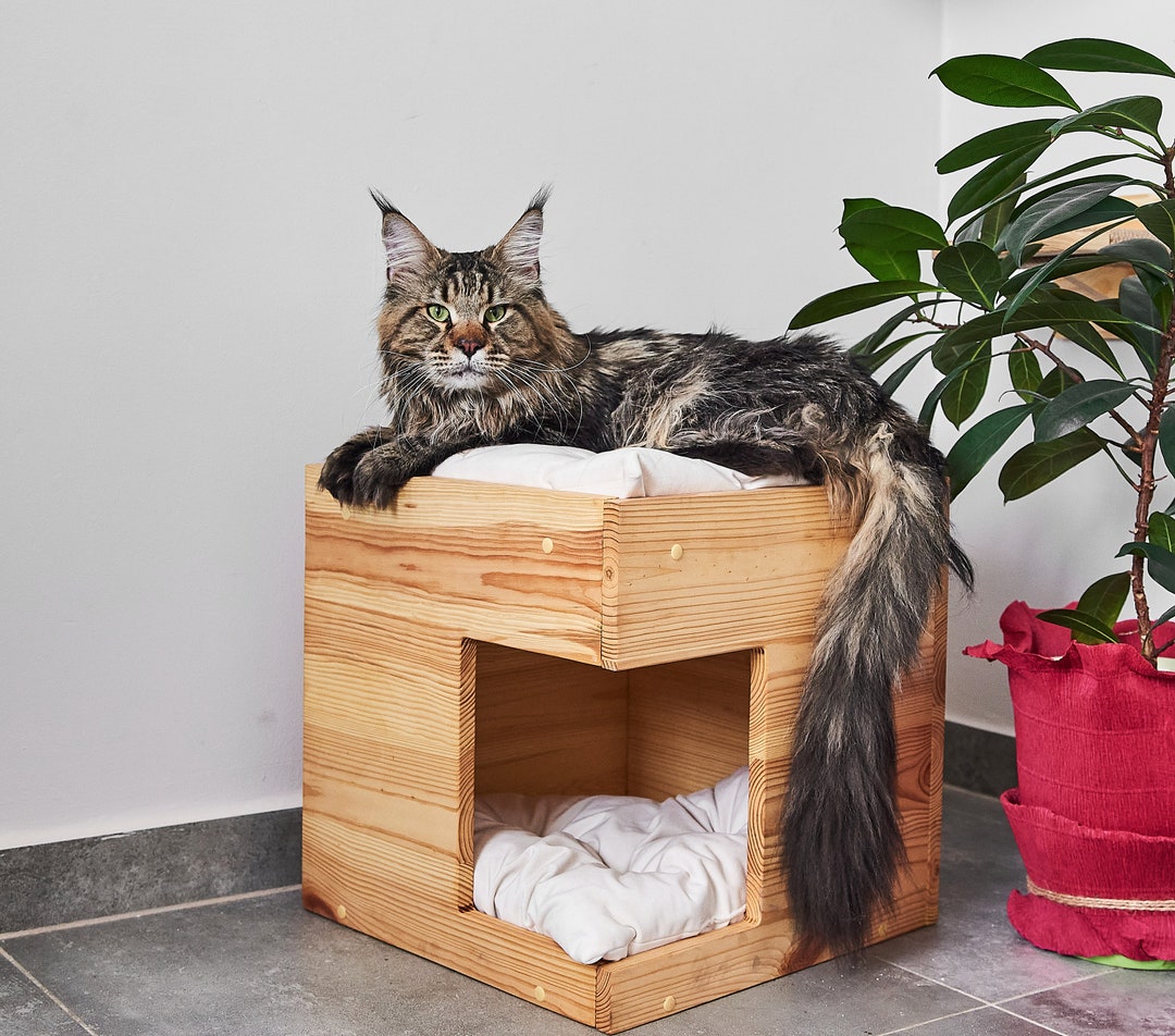 Cat House, Cat Condo, Cat Cave, Cat Furniture, Cat Bed With Soft Pillow ...