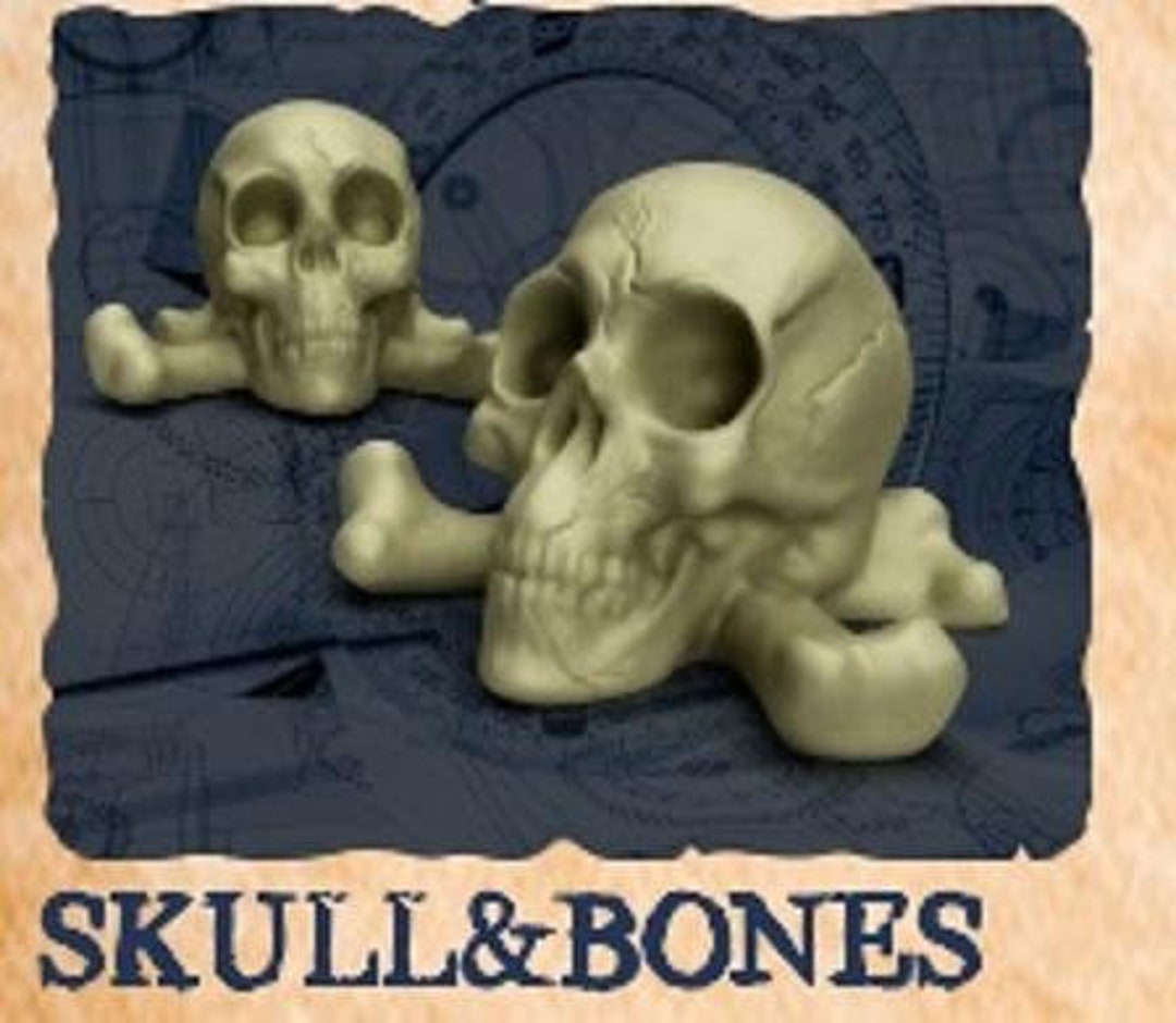 Painted Plastic 10-pack Resource Tokens: Skull & Bones - Etsy