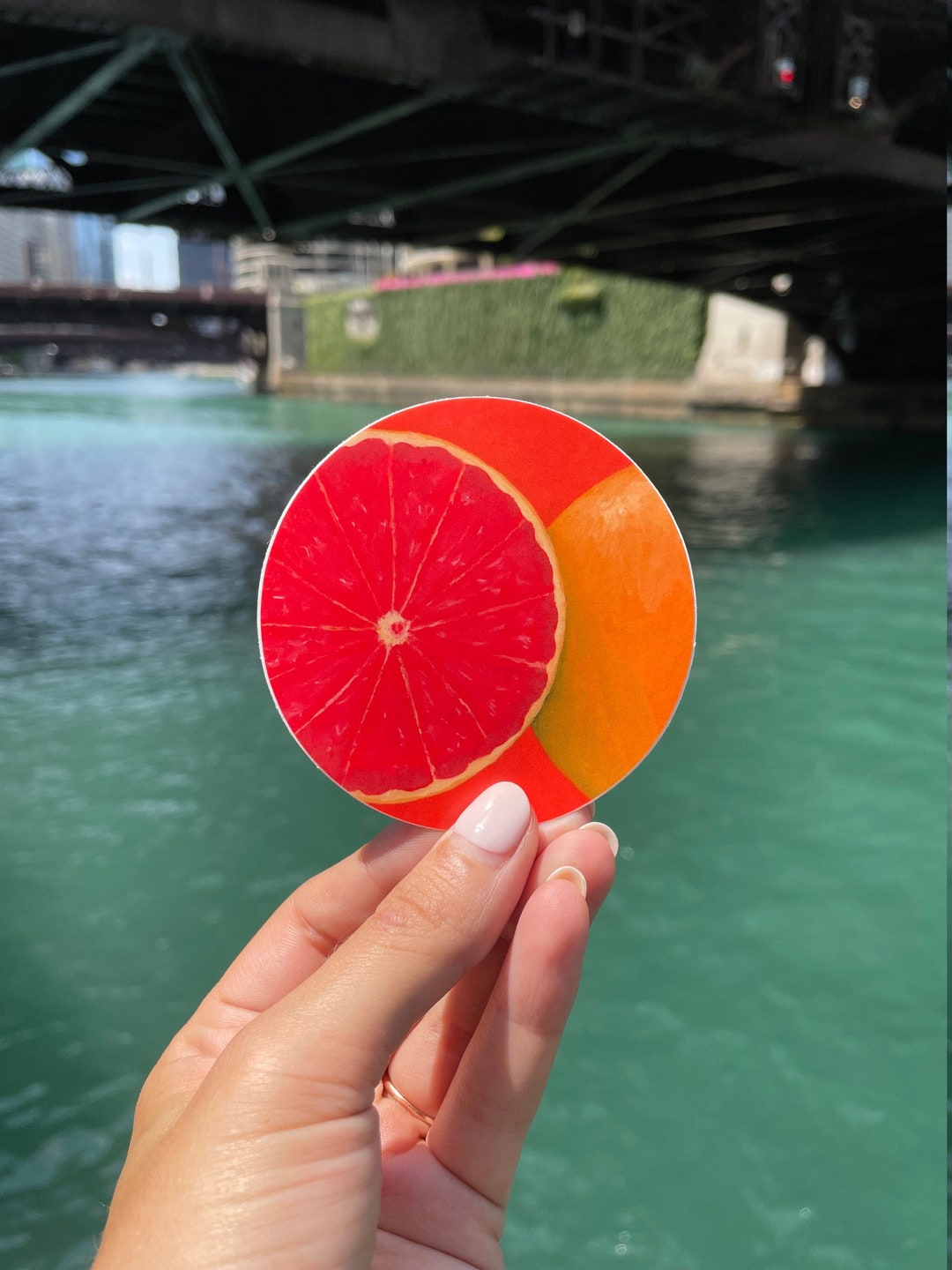 Painted Citrus Grapefruit Sticker - Etsy