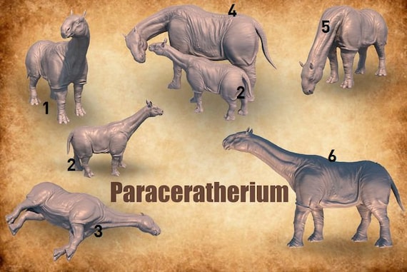 Paraceratherium