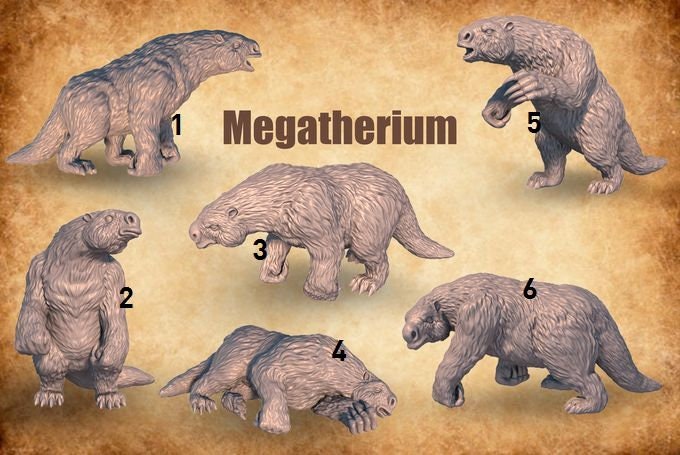 Megatherium Size