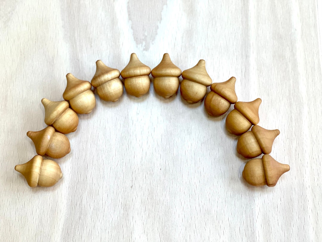 Wooden Acorn Sorting Set - Etsy