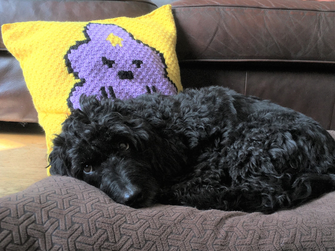 Lumpy Space Princess Cushion Crochet Pattern Adventure Time | Etsy
