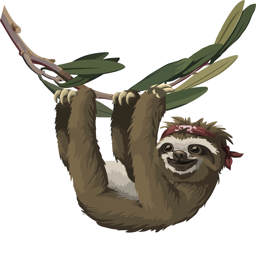 Sloth Clipart, Sloth Digital Download, Sloth Png, Hip Sloth, Cute Sloth ...