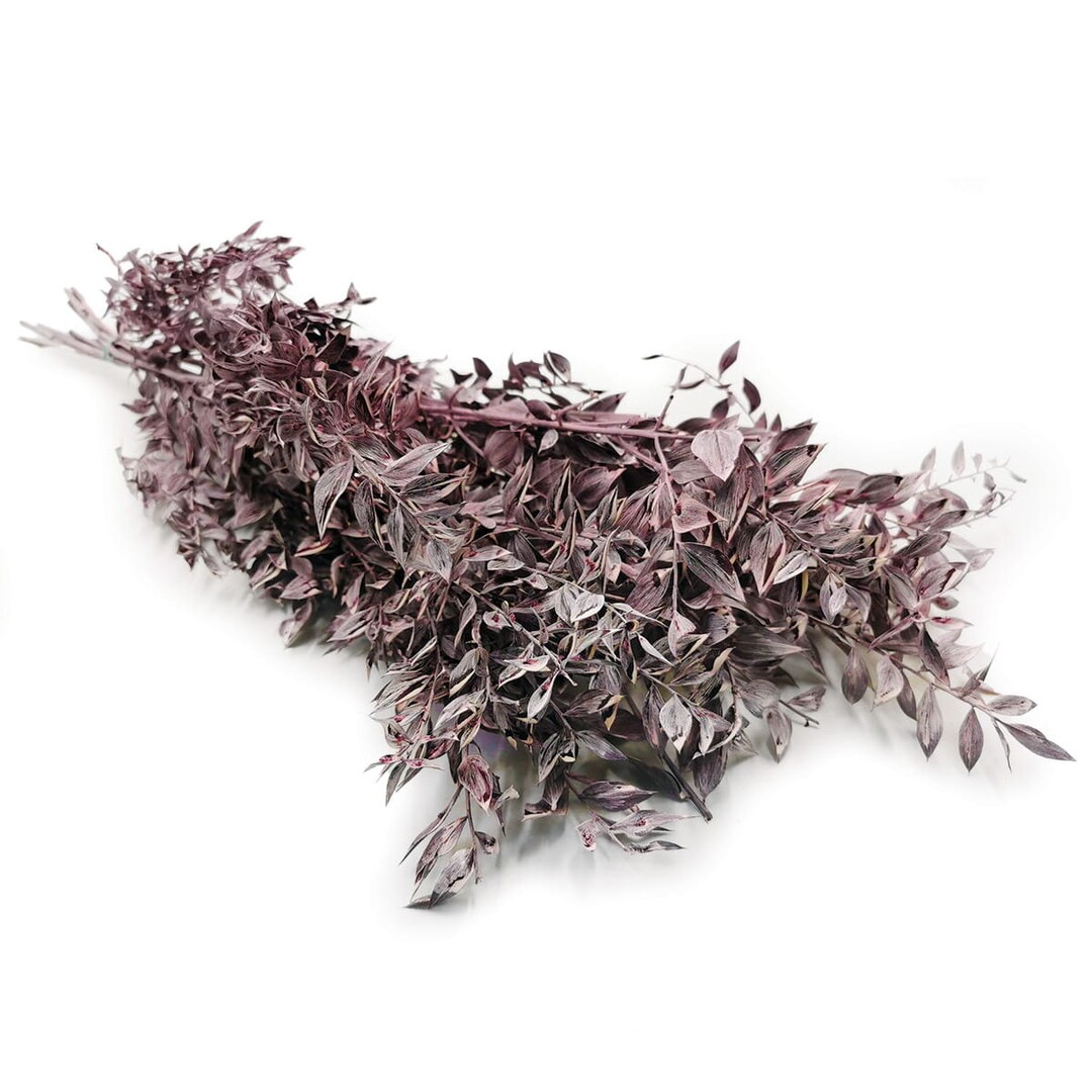10 Pcs Bleach Purple Ruscus Preserved Bouquet Preserved Ruscus ...