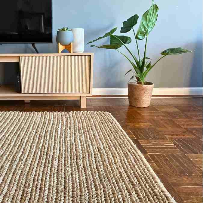 Sisal Area Rug: Natural Fiber Sisal Rug, Handwoven Braided, Entryway ...