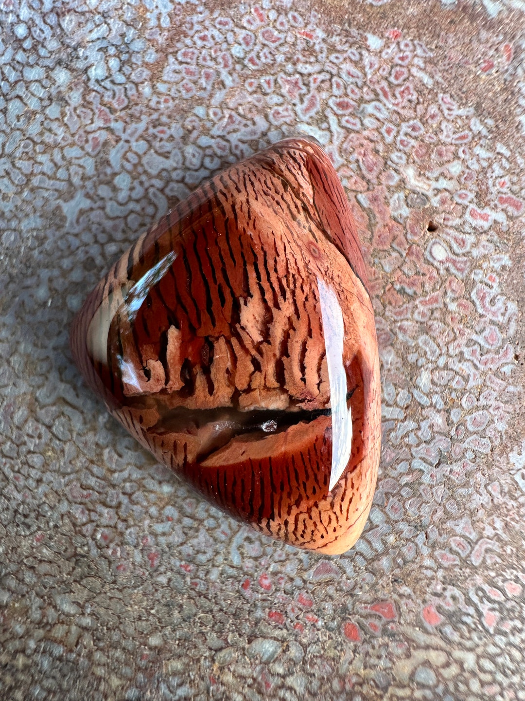 Howardite/rattlesnake Jasper Cabochon not Self Collected See ...