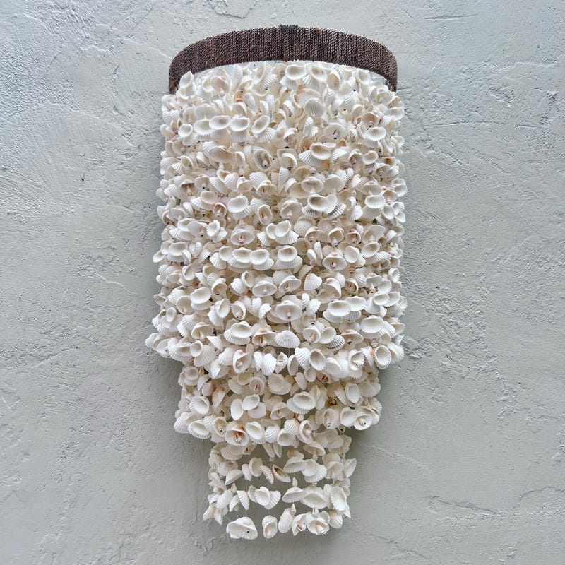 Shell Sconce - Etsy