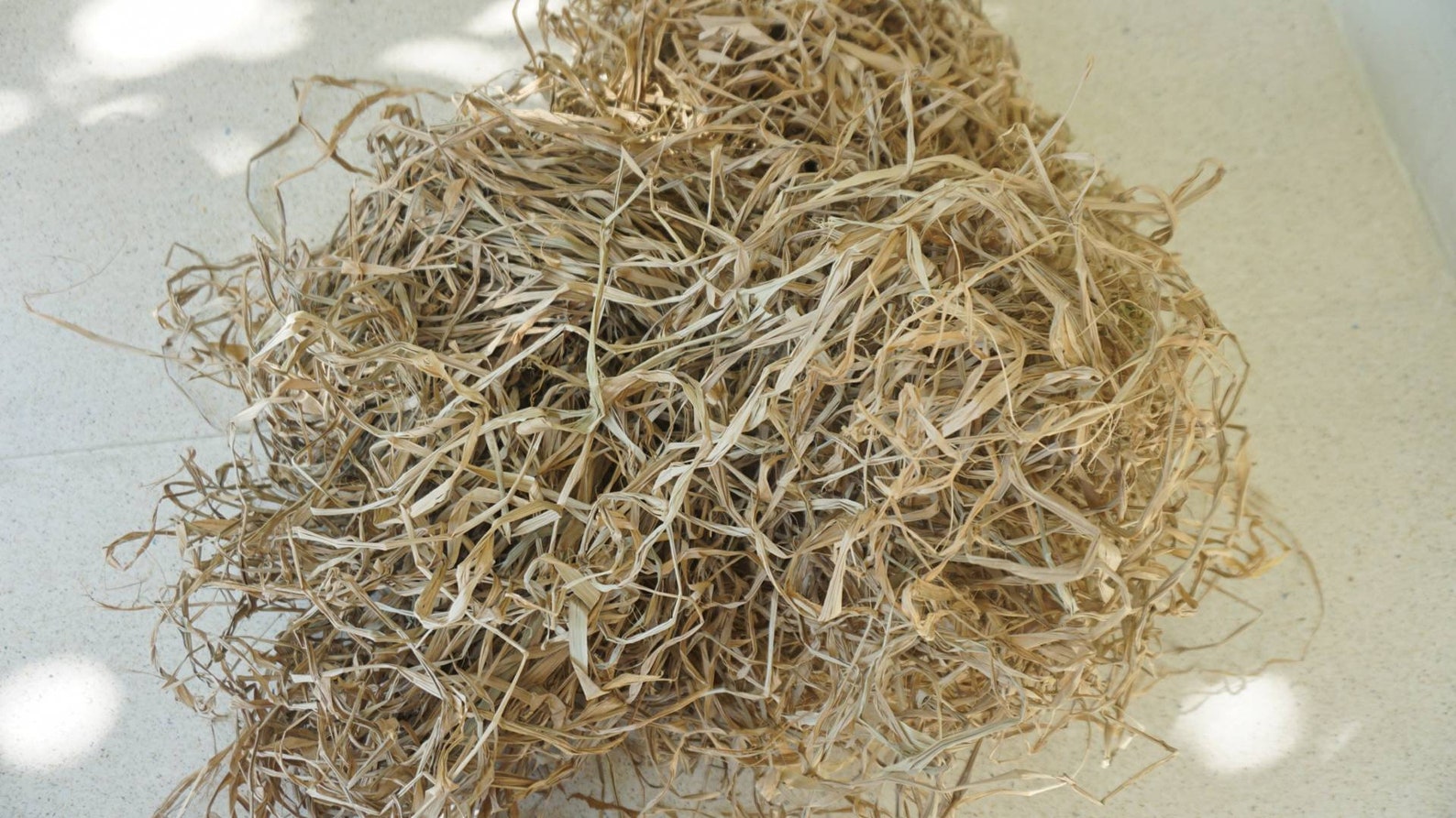 Natural Raffia Fiber (50gr) | Versatile Crafting Material - Etsy UK