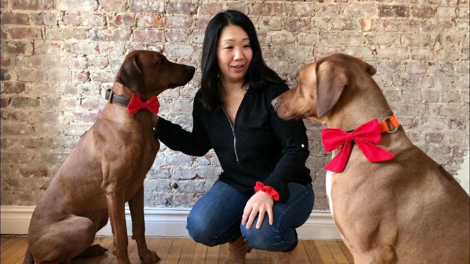 Family Matching Set 3-4 Items Matching Dog and Owner - Etsy