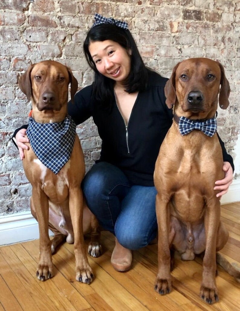 Personalized Matching Set Family Matching Set Matching Dog - Etsy