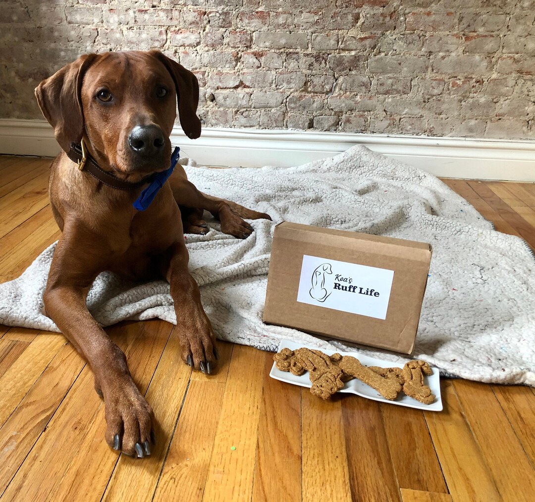 Dog Gift Box, Personalized Dog Treats, Organic Dog Cookies, Gift for ...